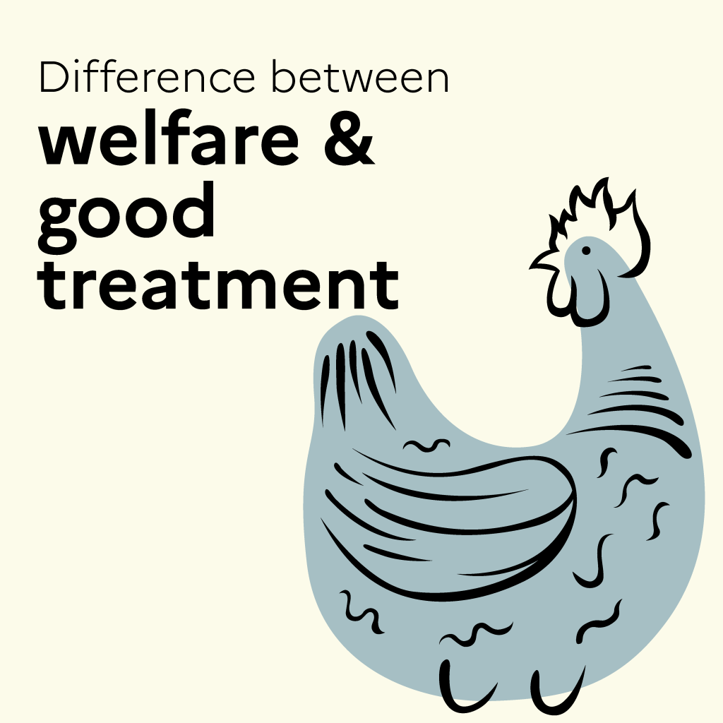 Video: The difference between good treatment and welfare - Chaire bien ...