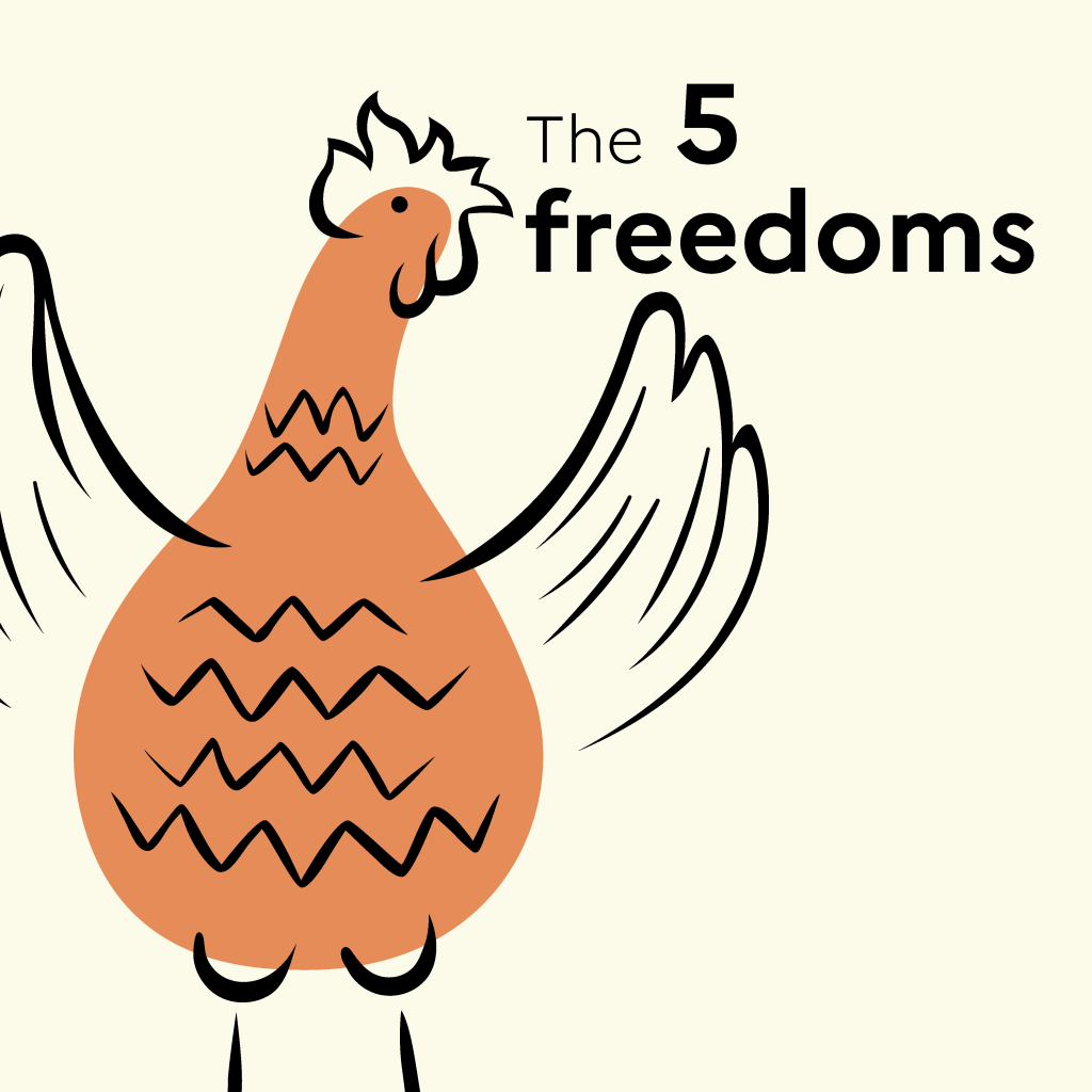 Video: The 5 freedoms - Chaire bien-être animal