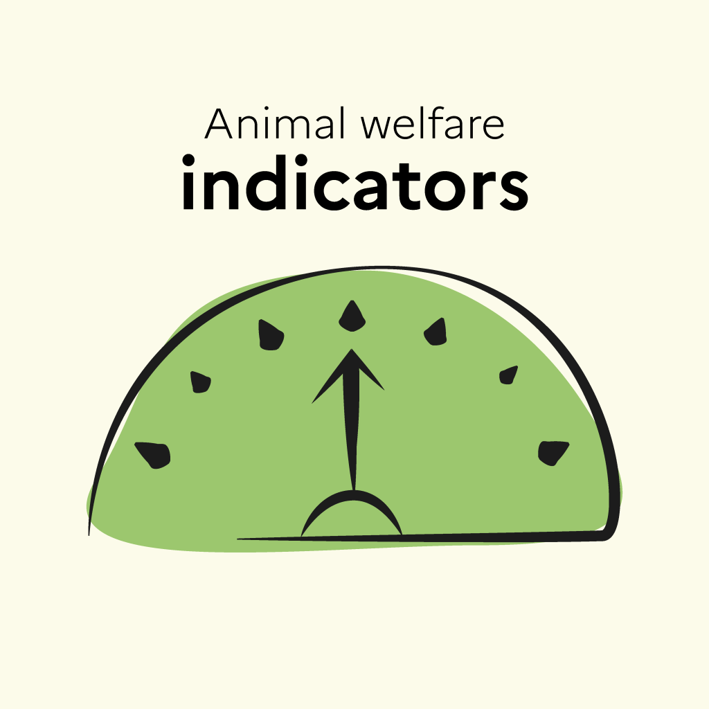 Video: Animal welfare indicators - Chaire bien-être animal