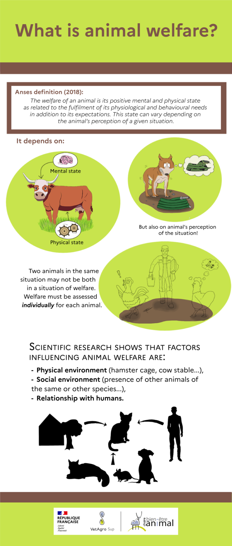 Infographic: what is animal welfare? - Chaire bien-être animal