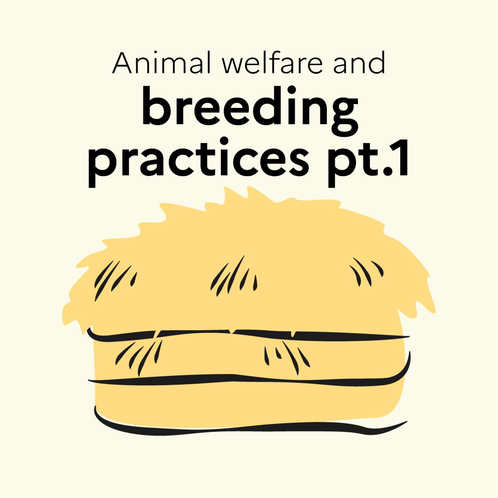 Video: Animal welfare and breeding practices - Chaire bien-être animal