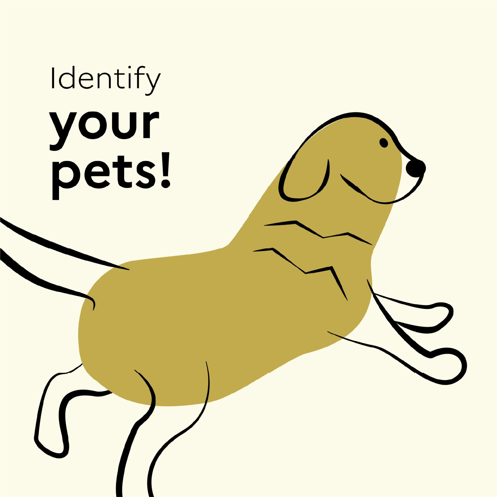 Video: Identify your pets! - Chaire bien-être animal