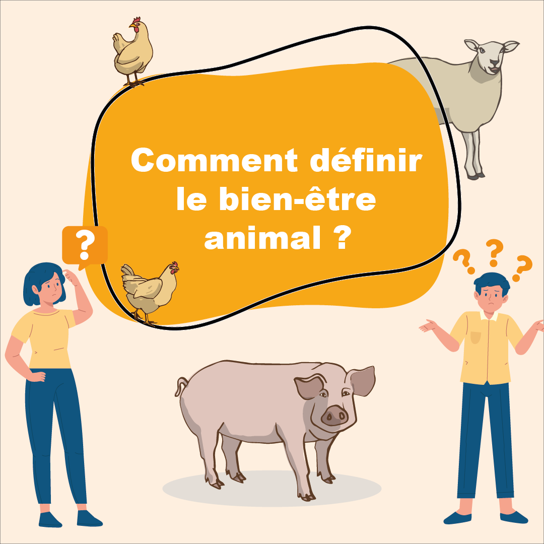 Comment définir le bien-être animal ? - Chaire bien-être animal