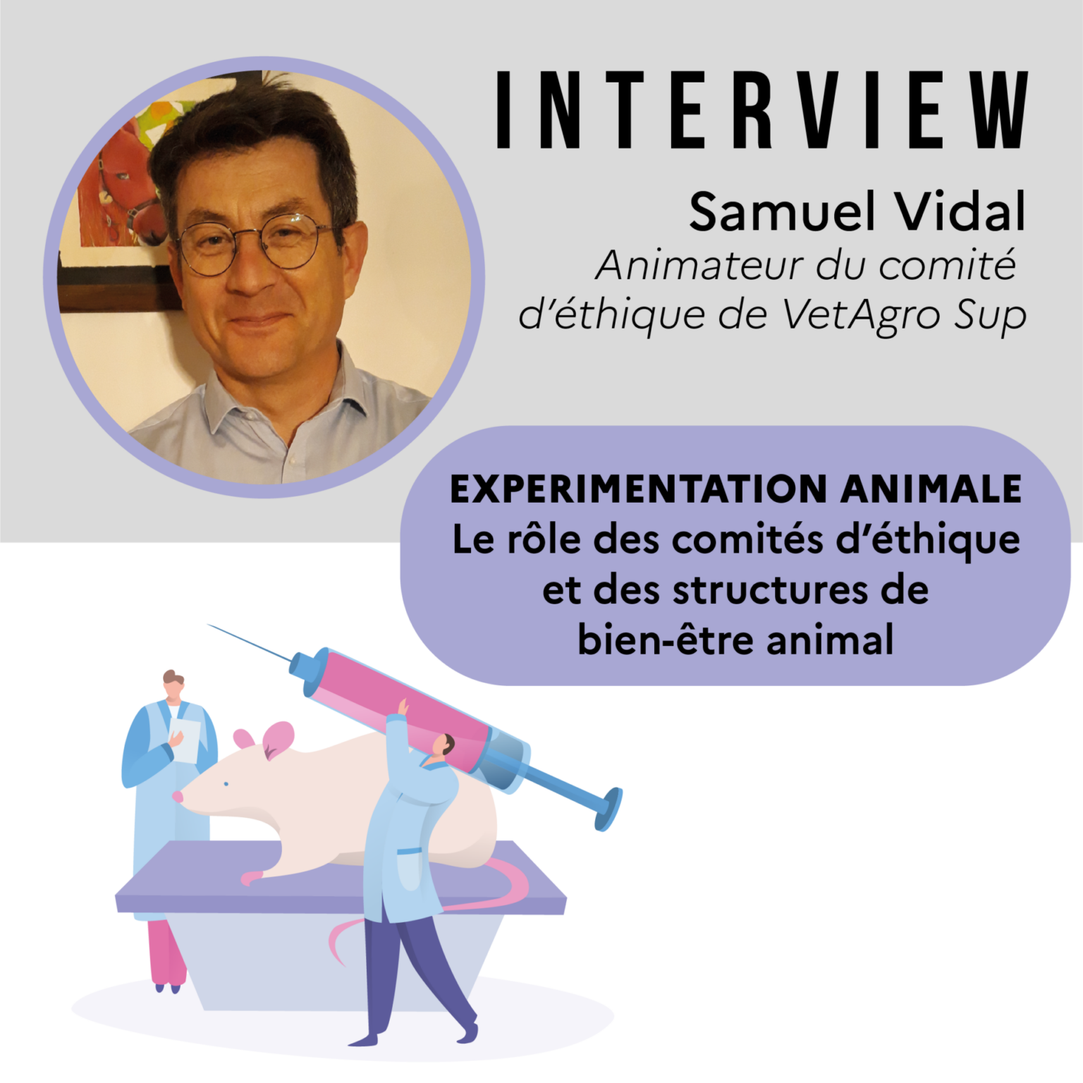 Expérimentation animale : le rôle des comités d’éthique et des ...