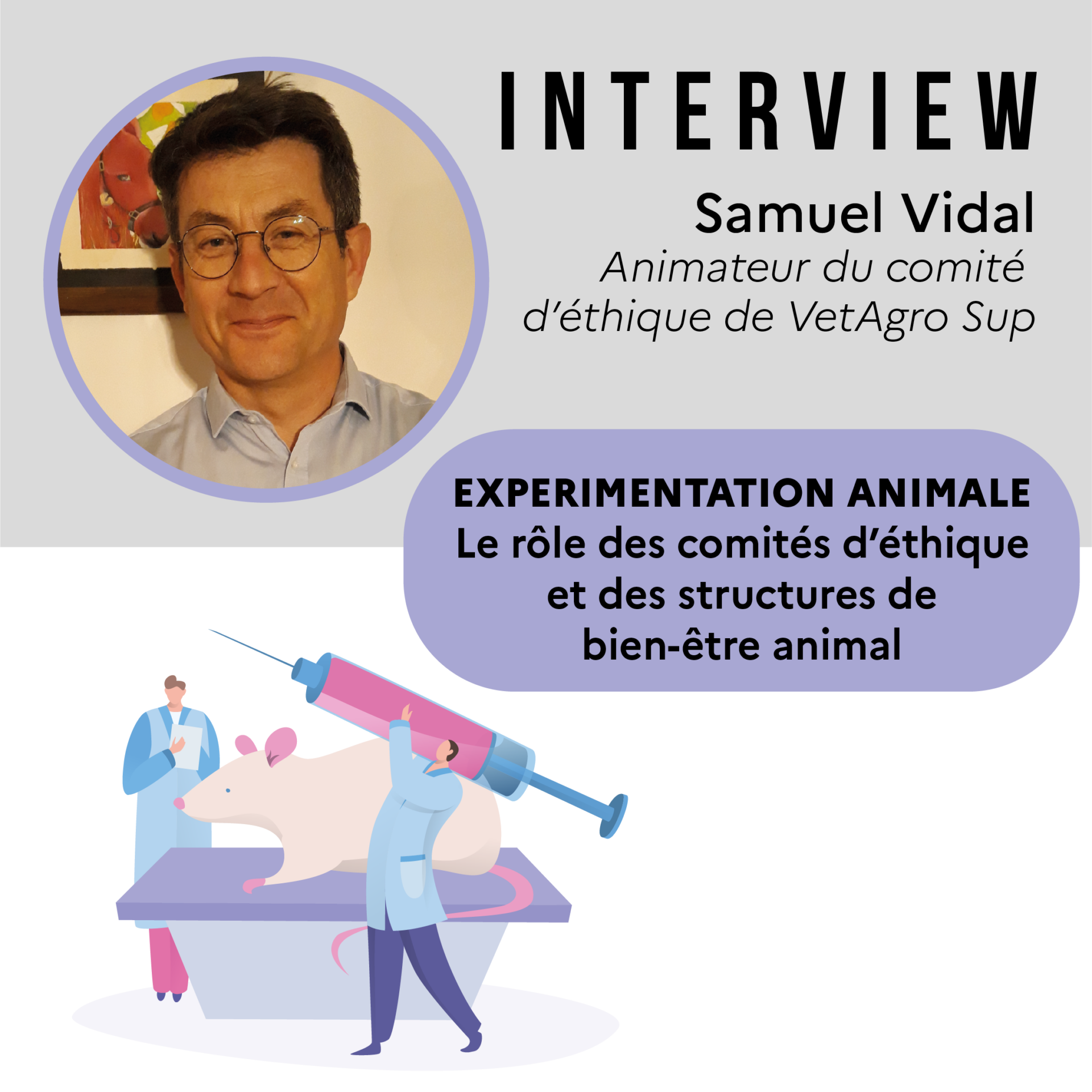 Expérimentation animale : le rôle des comités d’éthique et des ...