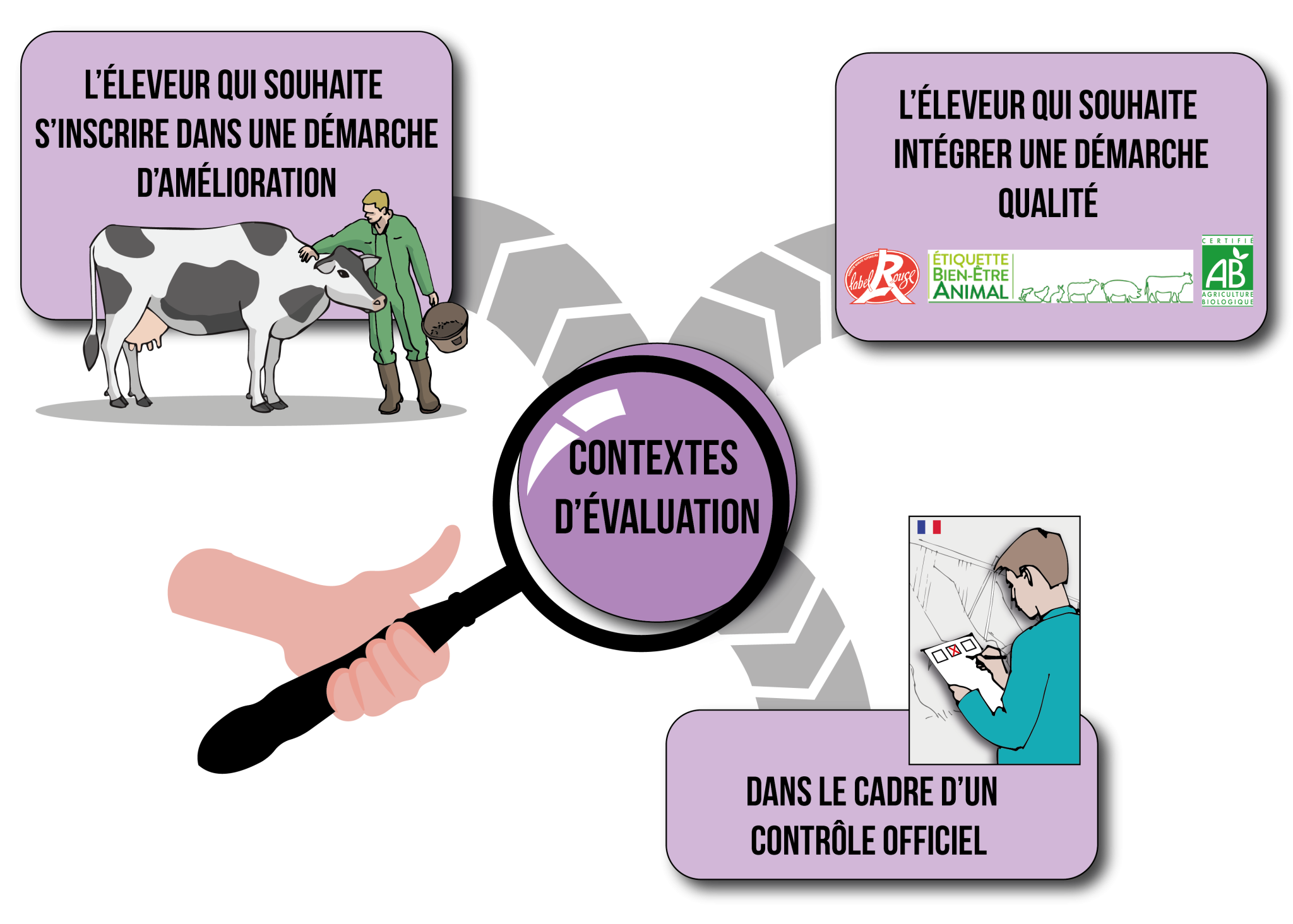 Comment évaluer le bien-être animal ? – Chaire bien-être animal