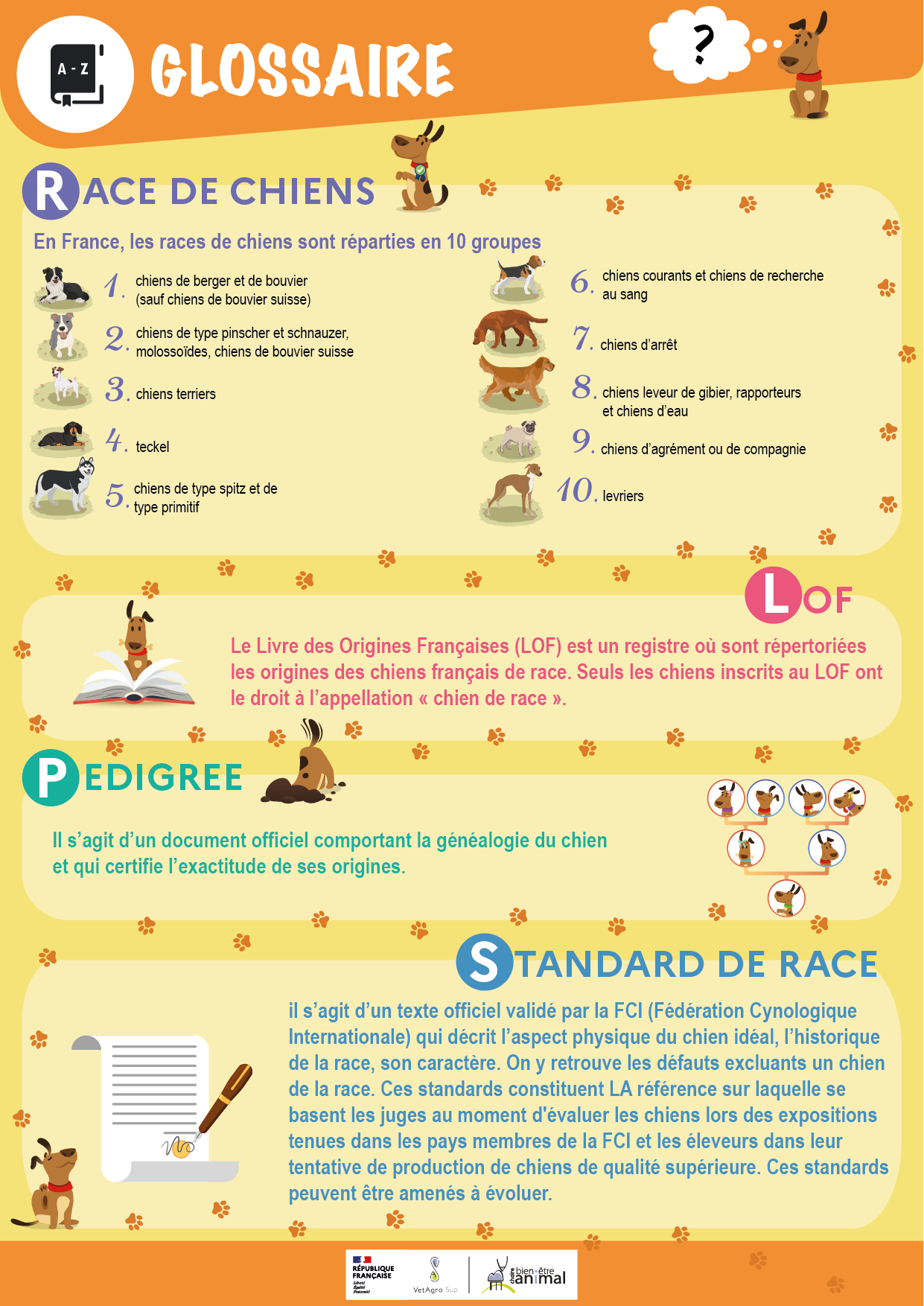 L’hypertype est-il contraire au bien-être animal ? – Chaire bien-être ...