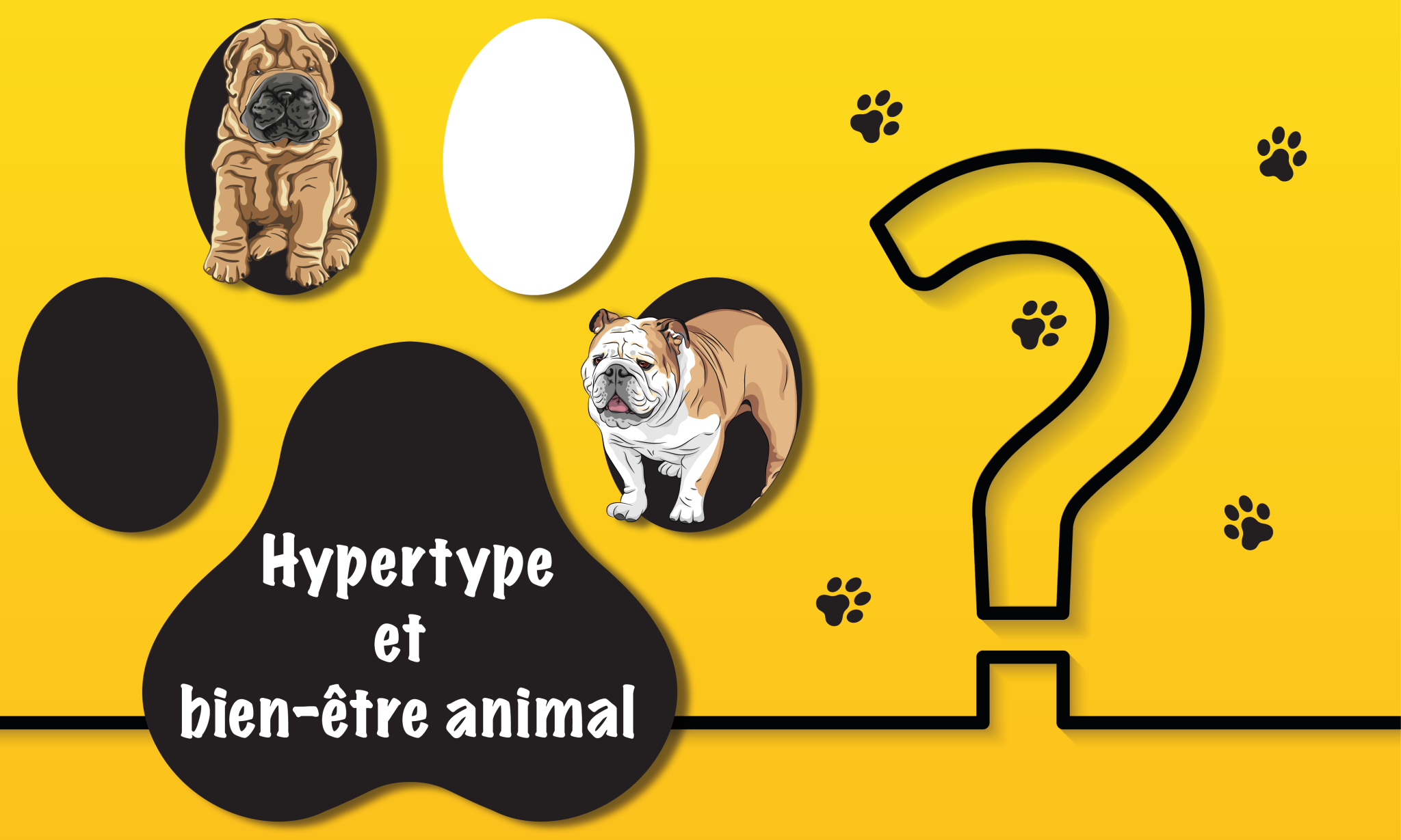 L’hypertype est-il contraire au bien-être animal ? – Chaire bien-être animal