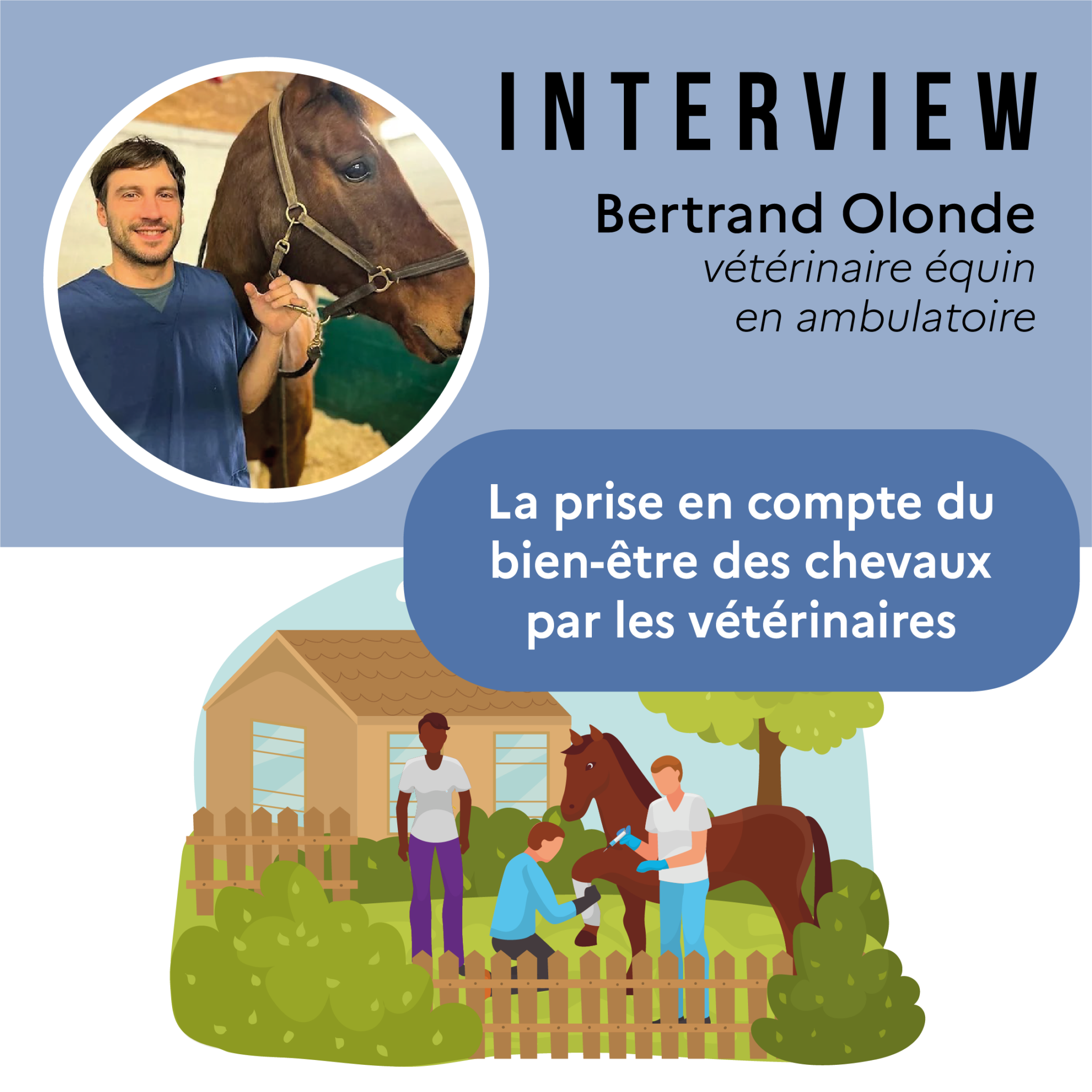 Podcast- Comment les vétérinaires équins prennent-ils en compte le bien ...