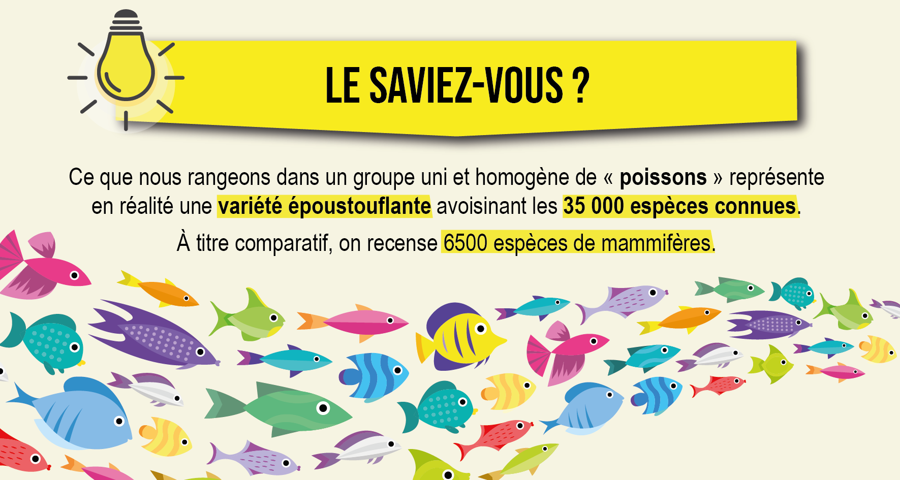 Les poissons ne ressentent pas la douleur, VRAI ou FAUX ? – Chaire bien-être animal