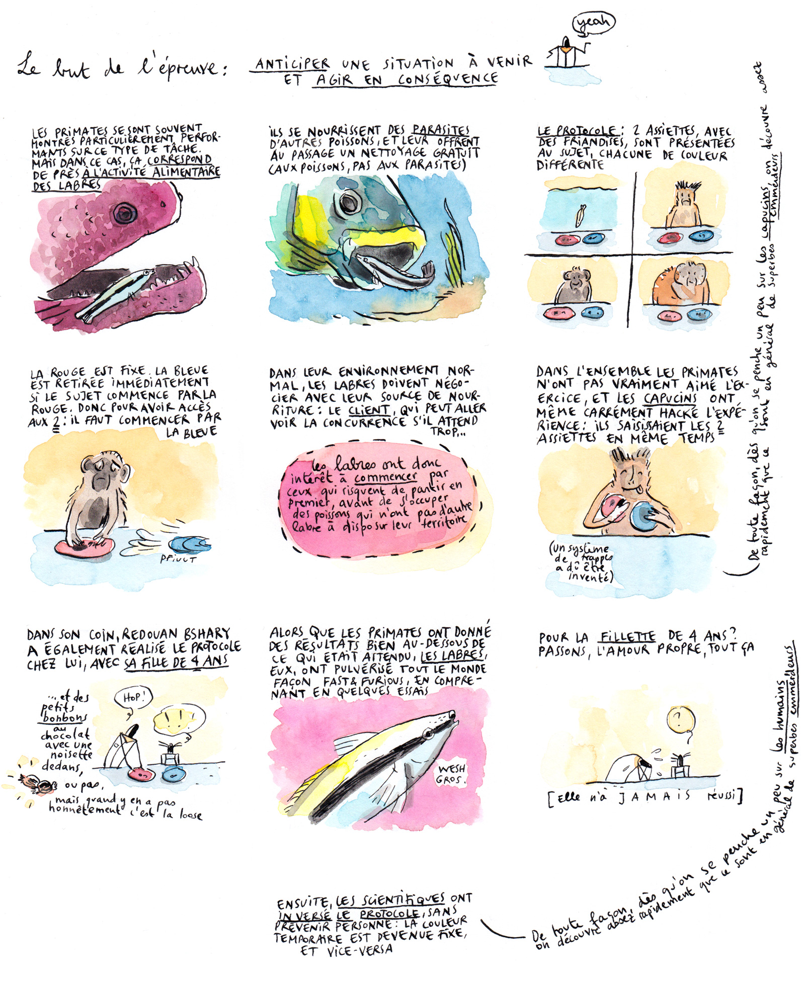 Les poissons ne ressentent pas la douleur, VRAI ou FAUX ? – Chaire bien-être animal