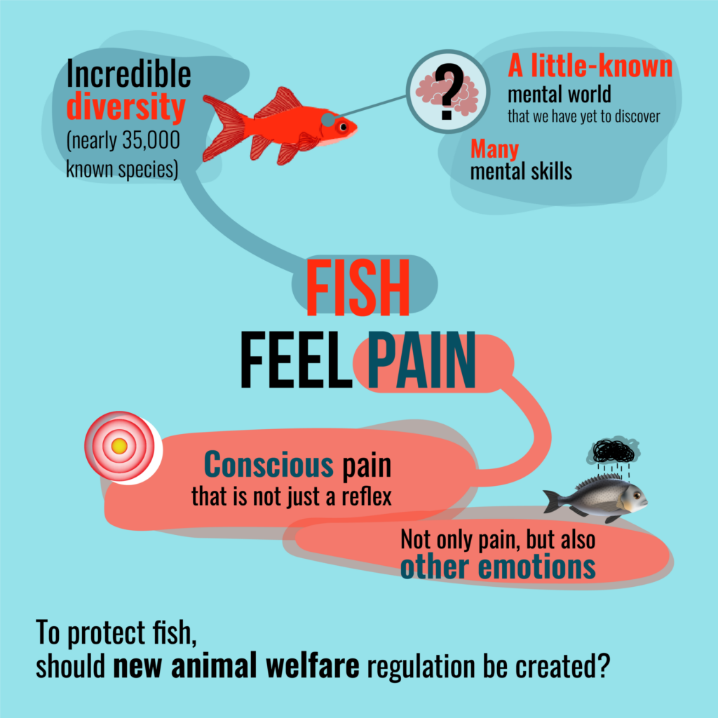 Fish don't feel pain, TRUE or FALSE?
