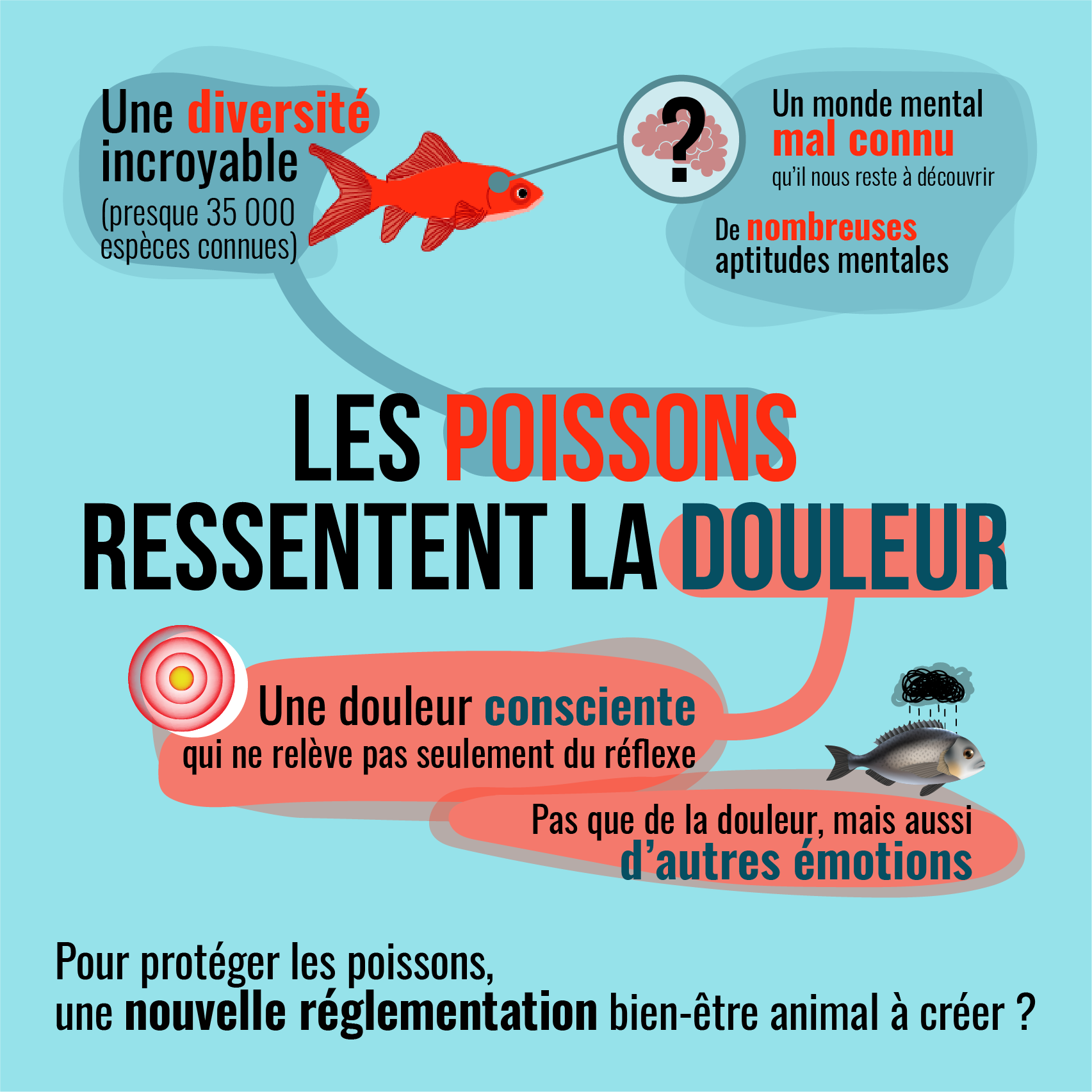 Les poissons ne ressentent pas la douleur, VRAI ou FAUX ? – Chaire bien-être animal