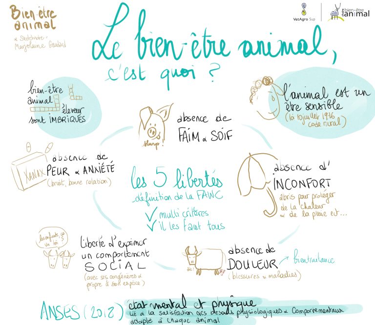 Le bien-être animal en images : quels enjeux ? – Chaire bien-être animal