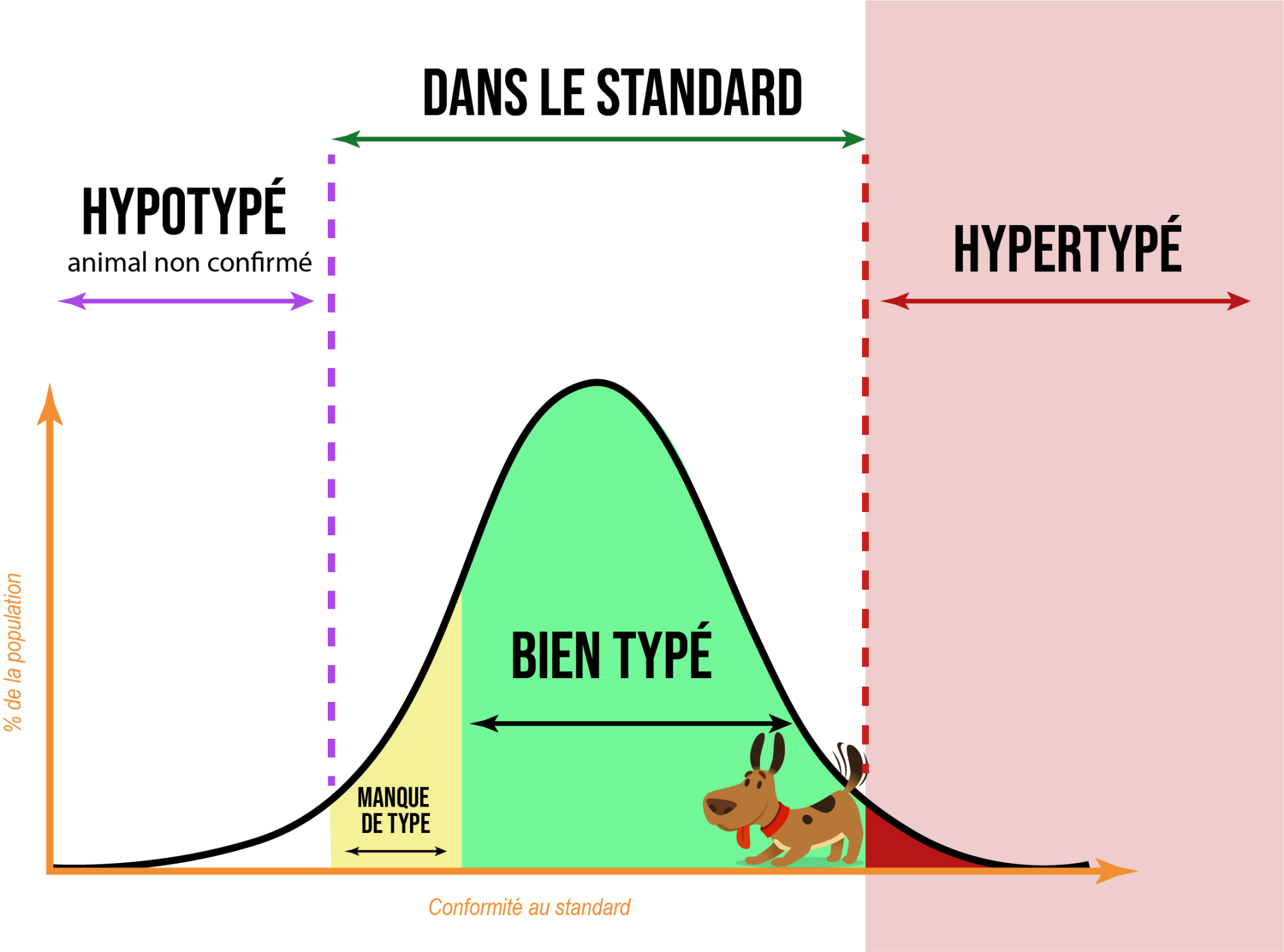 L'hypertype est-il contraire au bien-être animal ? - Chaire bien-être ...