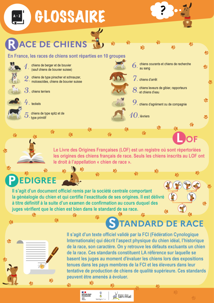 L'hypertype est-il contraire au bien-être animal ? - Chaire bien-être ...
