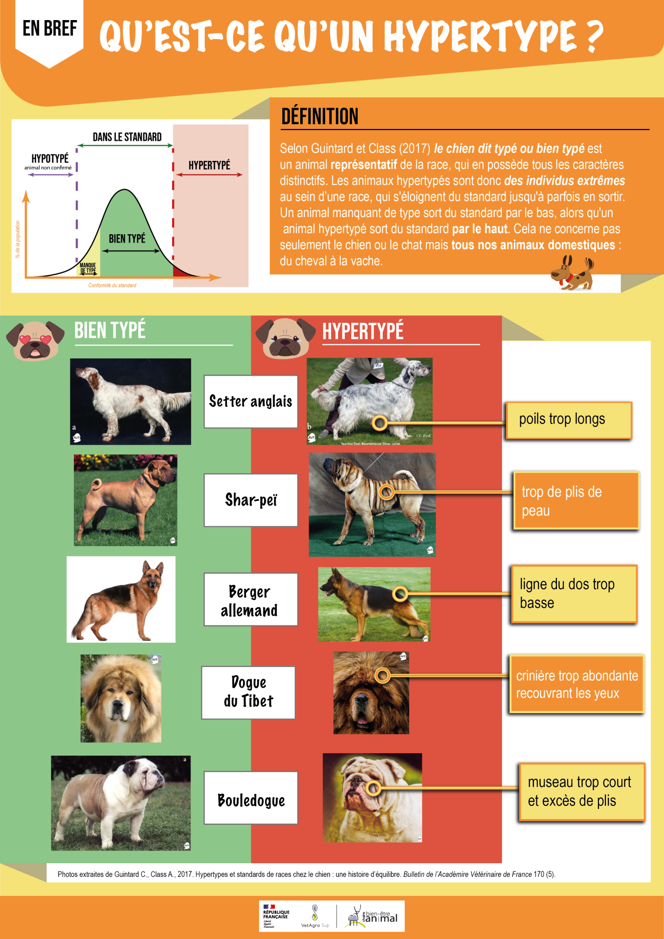 L'hypertype est-il contraire au bien-être animal ? - Chaire bien-être animal