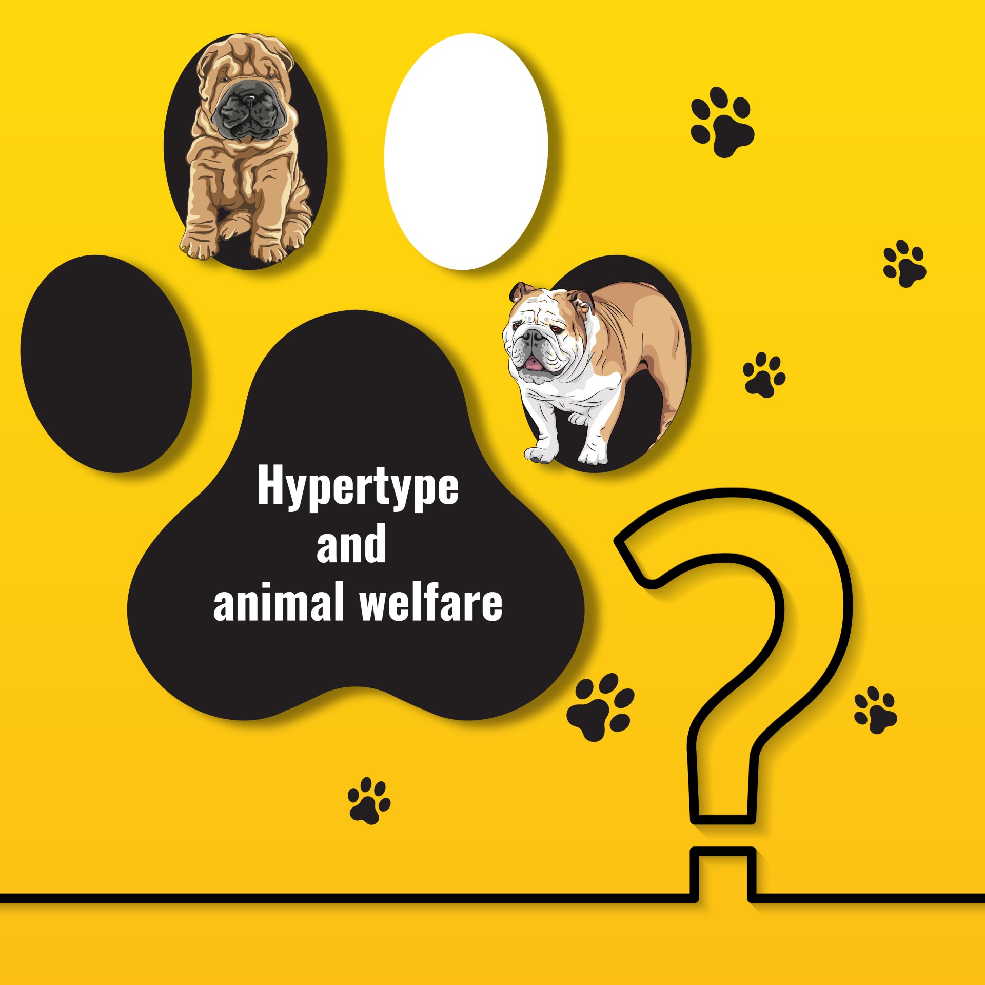 Is hypertype contrary to animal welfare? - Chaire bien-être animal