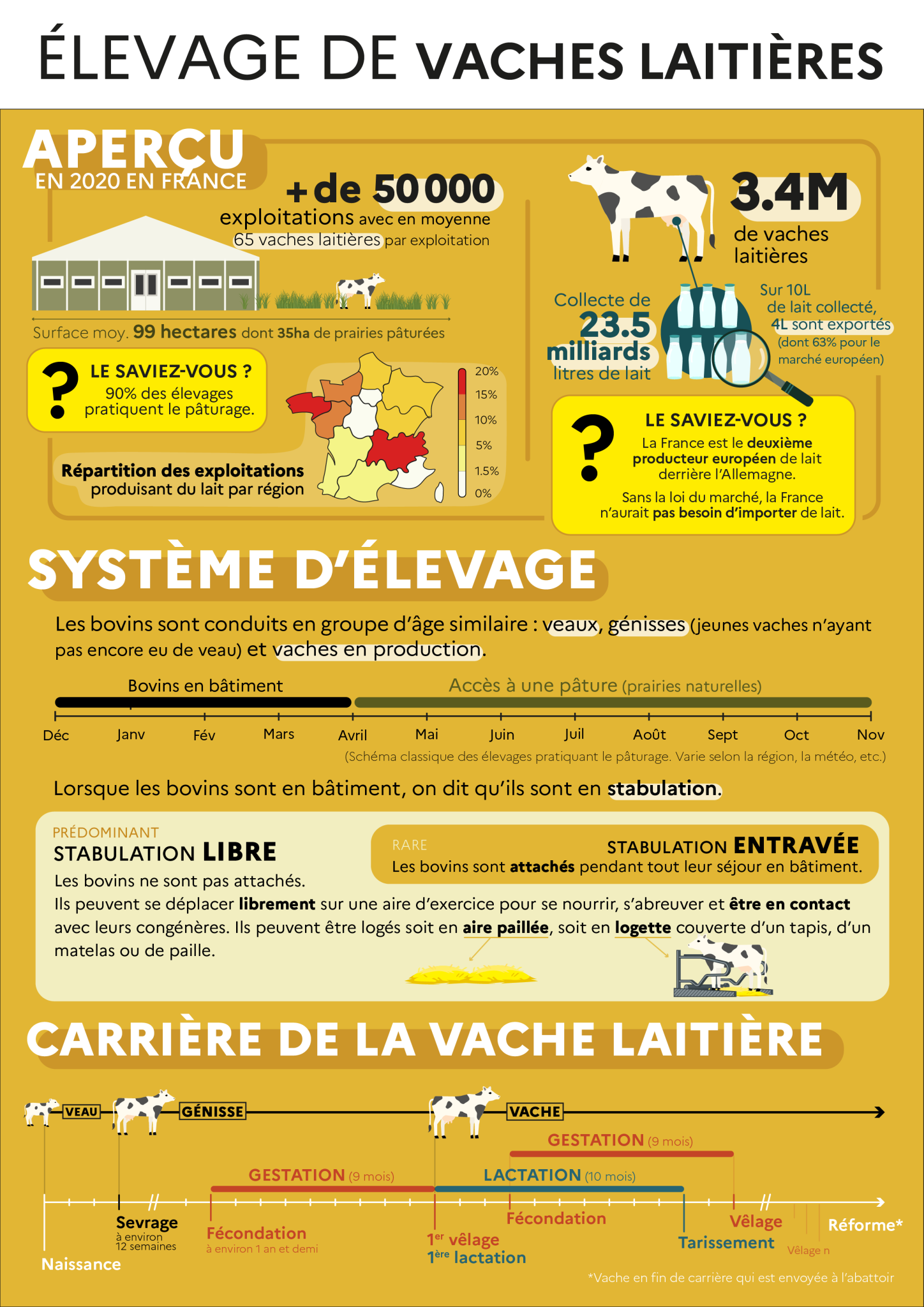 Fiche élevage- Tout savoir sur l’élevage de vaches laitières! – Chaire ...