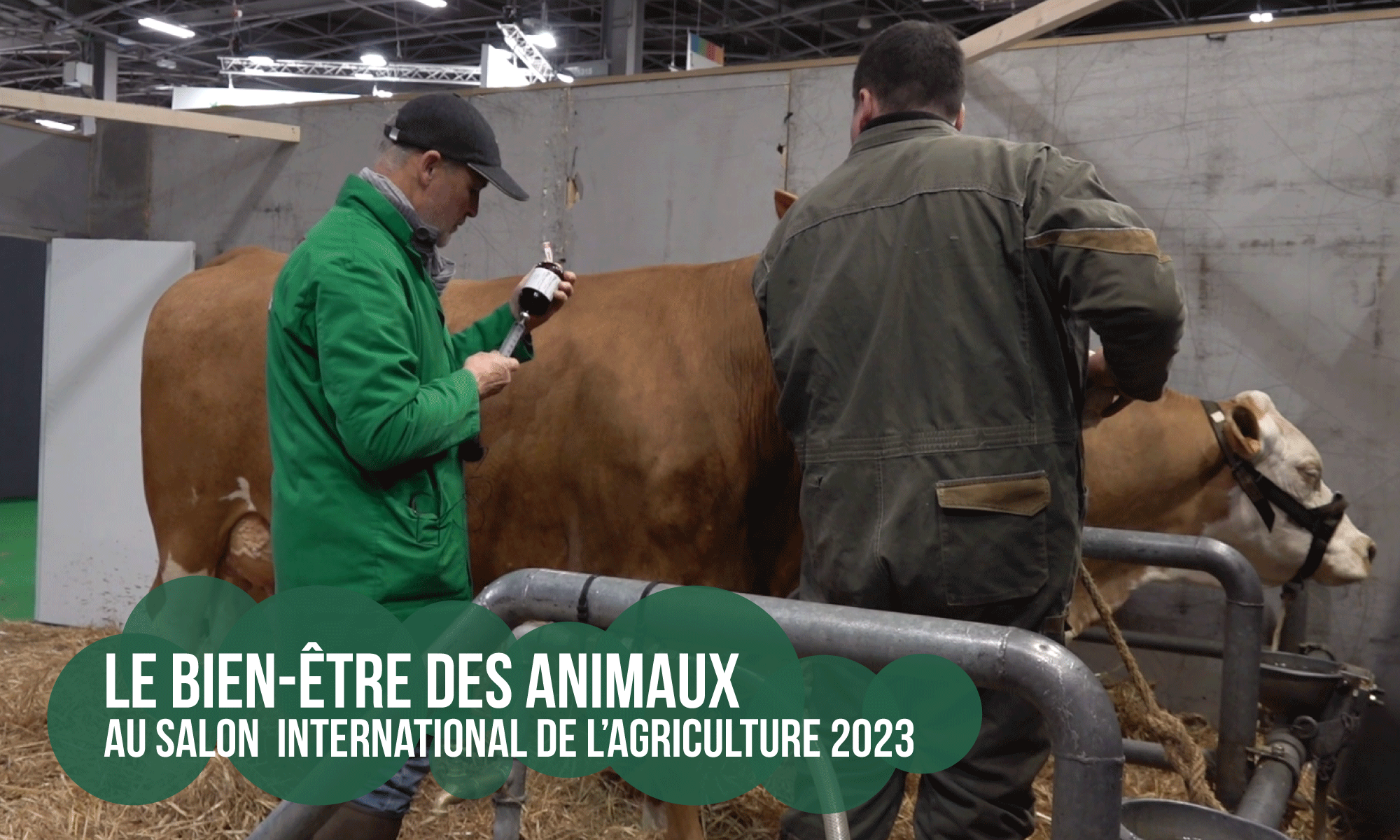 Le bien-être des animaux au Salon International de l’Agriculture ...