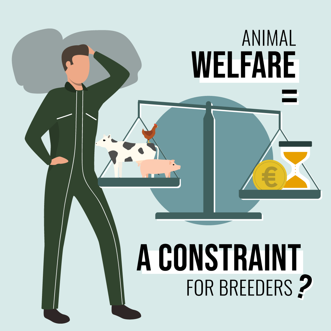 Animal welfare improvement is always a constraint for breeders, TRUE or ...
