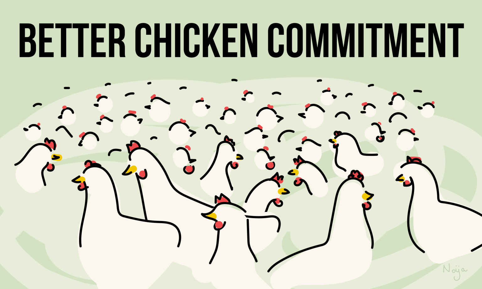Décryptage- Qu’est-ce que le Better Chicken Commitment ? (BCC) – Chaire bien-être animal