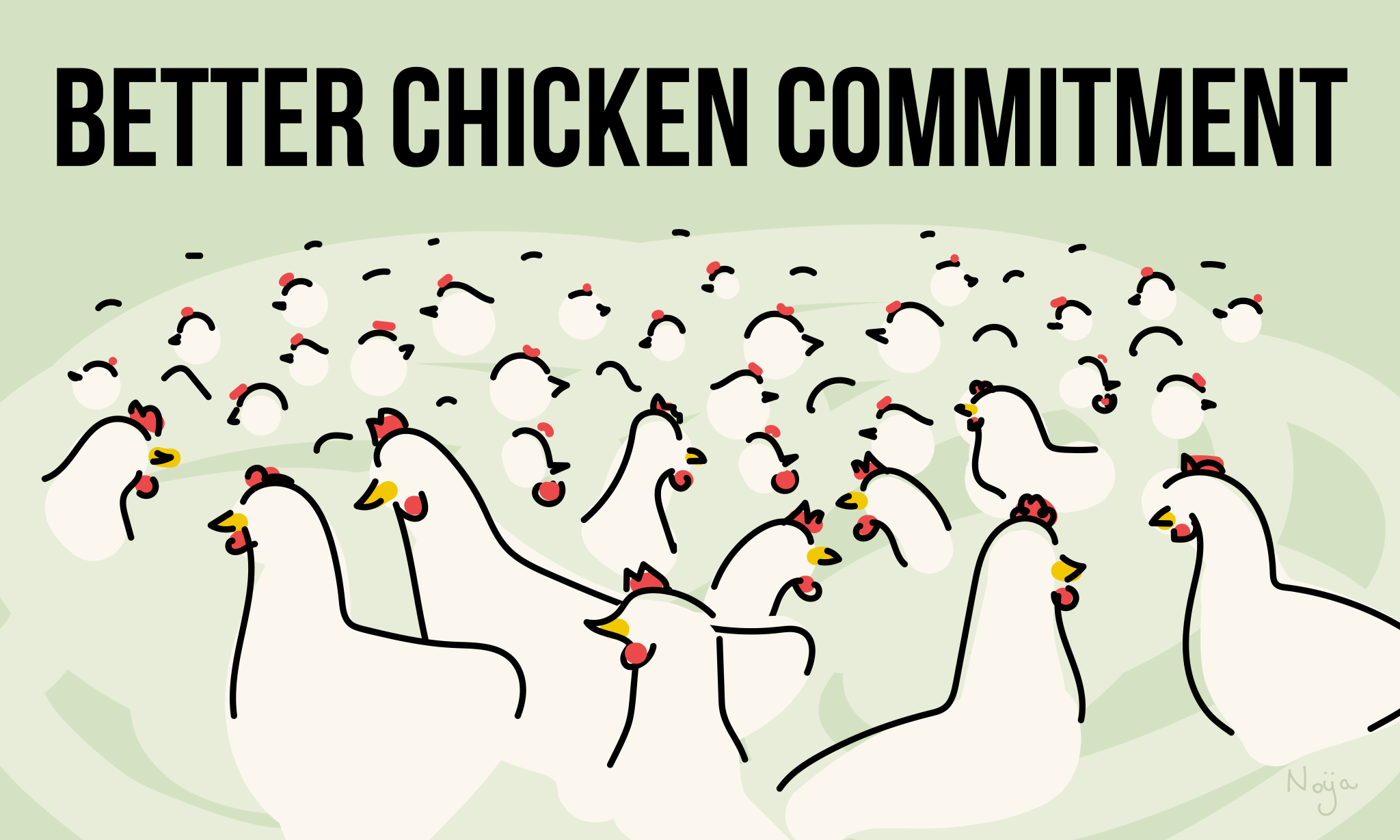 Décryptage- Qu’est-ce que le Better Chicken Commitment ? (BCC) – Chaire ...