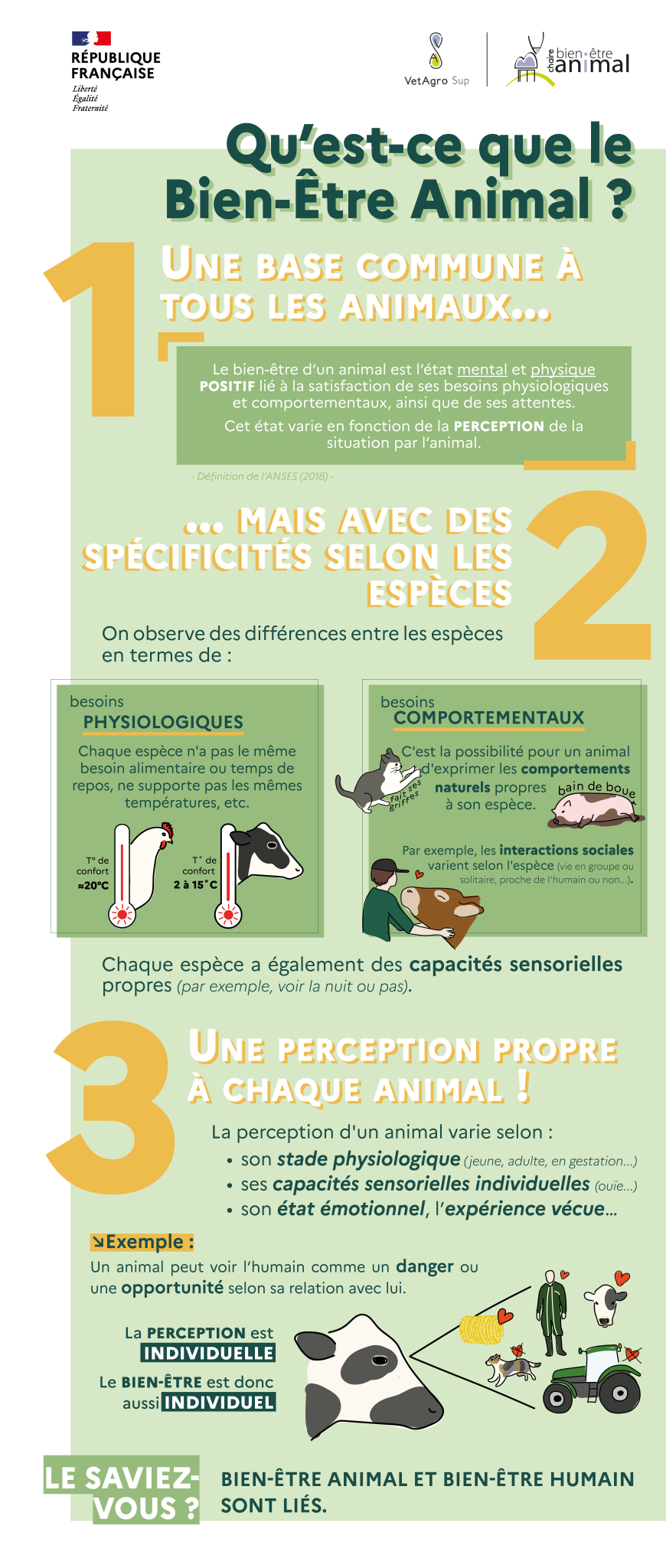 Infographie- Qu’est-ce que le bien-être animal ? – Chaire bien-être animal