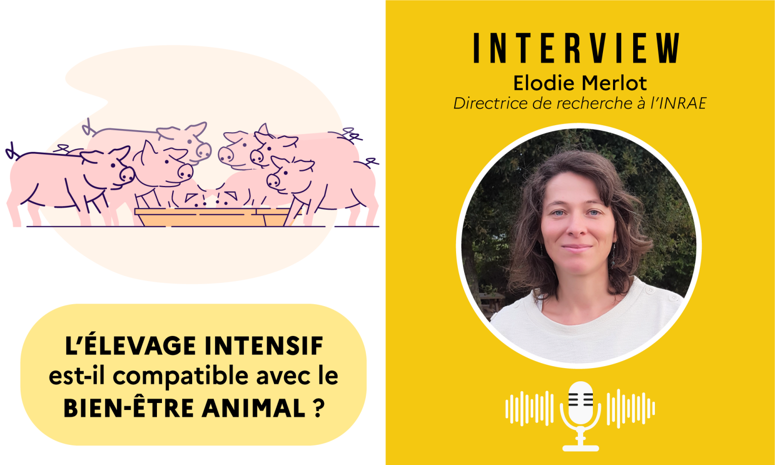 L’élevage intensif est-il compatible avec le bien-être animal ...