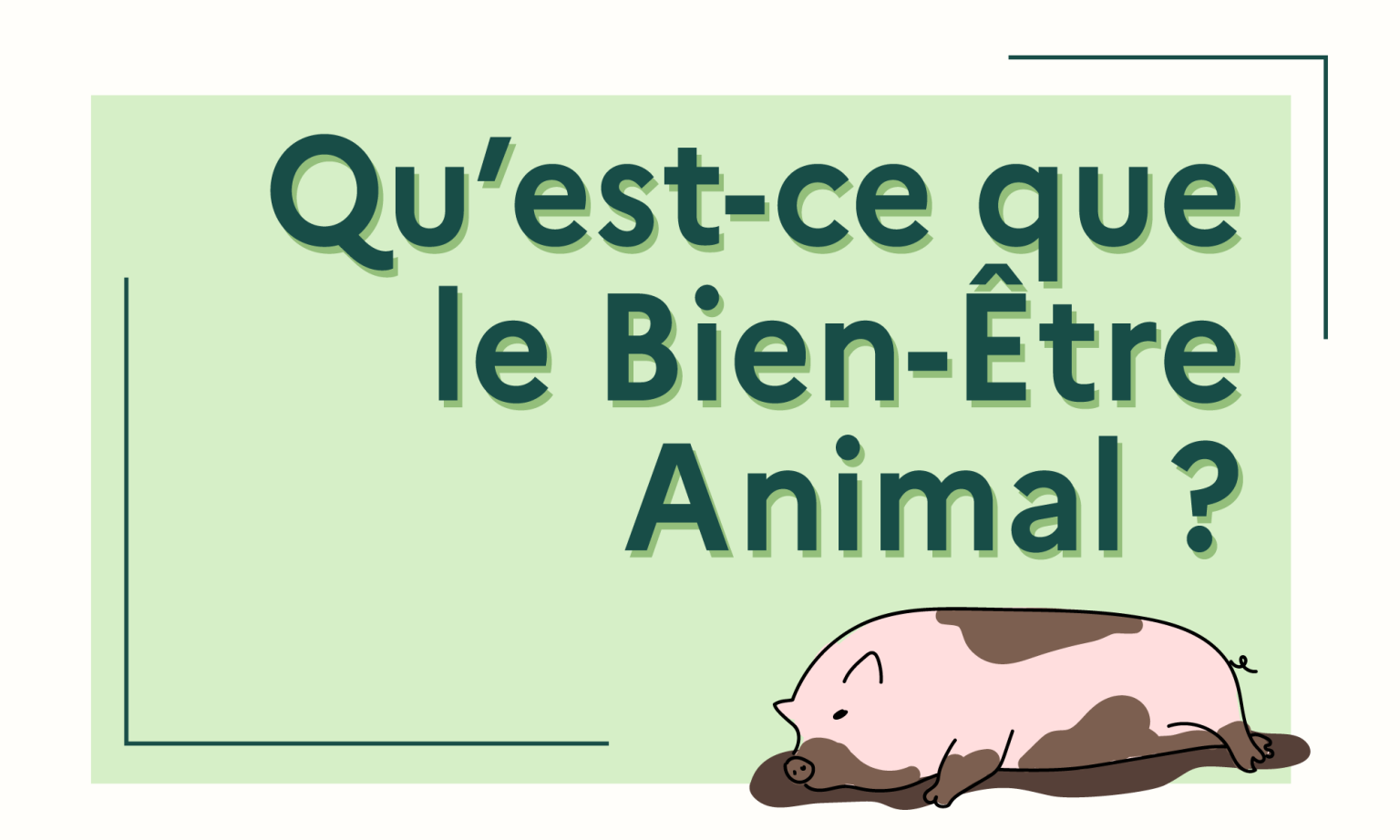 Chaire bien-être animal