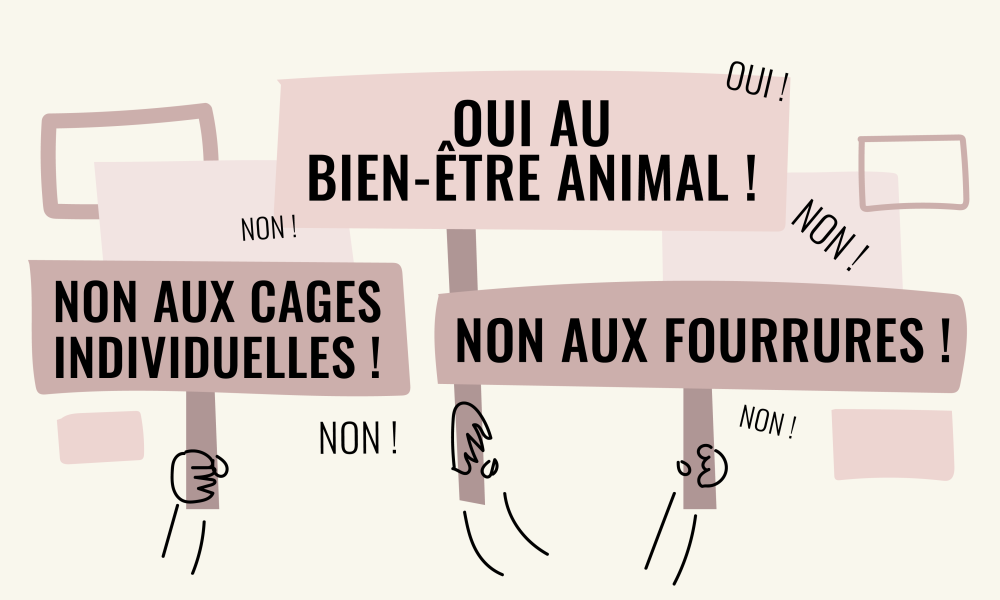 Les Européens et Français souhaitent plus de bien-être animal ...