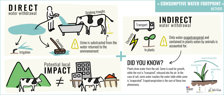 It takes 15000 liters of water to produce 1 kg of beef: TRUE or FALSE ...