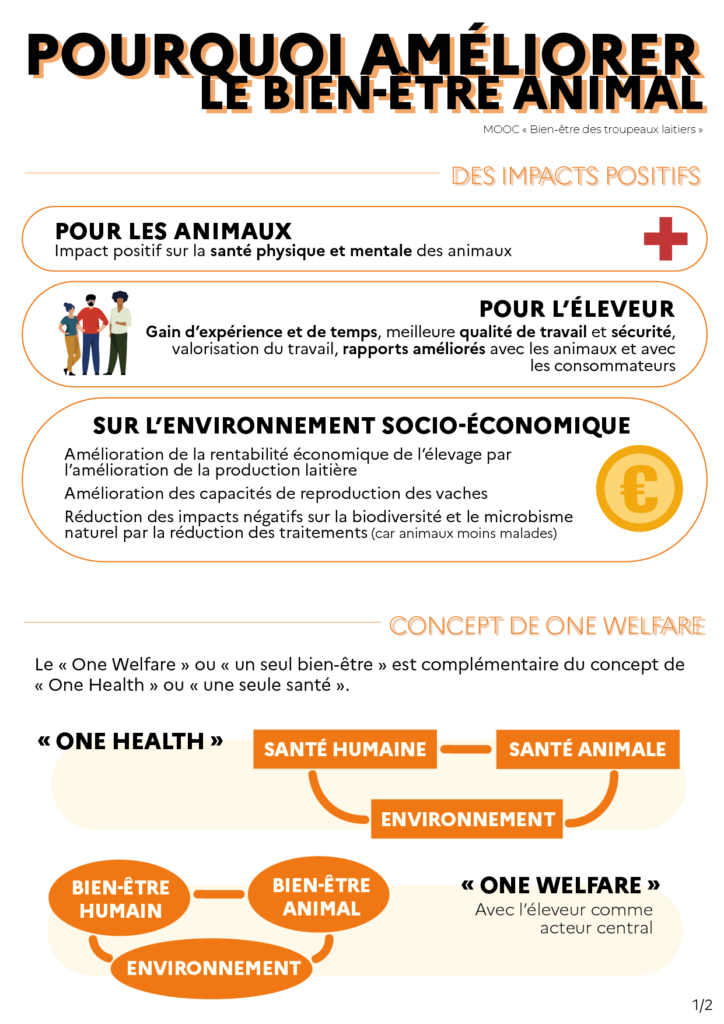 Pourquoi améliorer le bien-être des animaux ? - Chaire bien-être animal