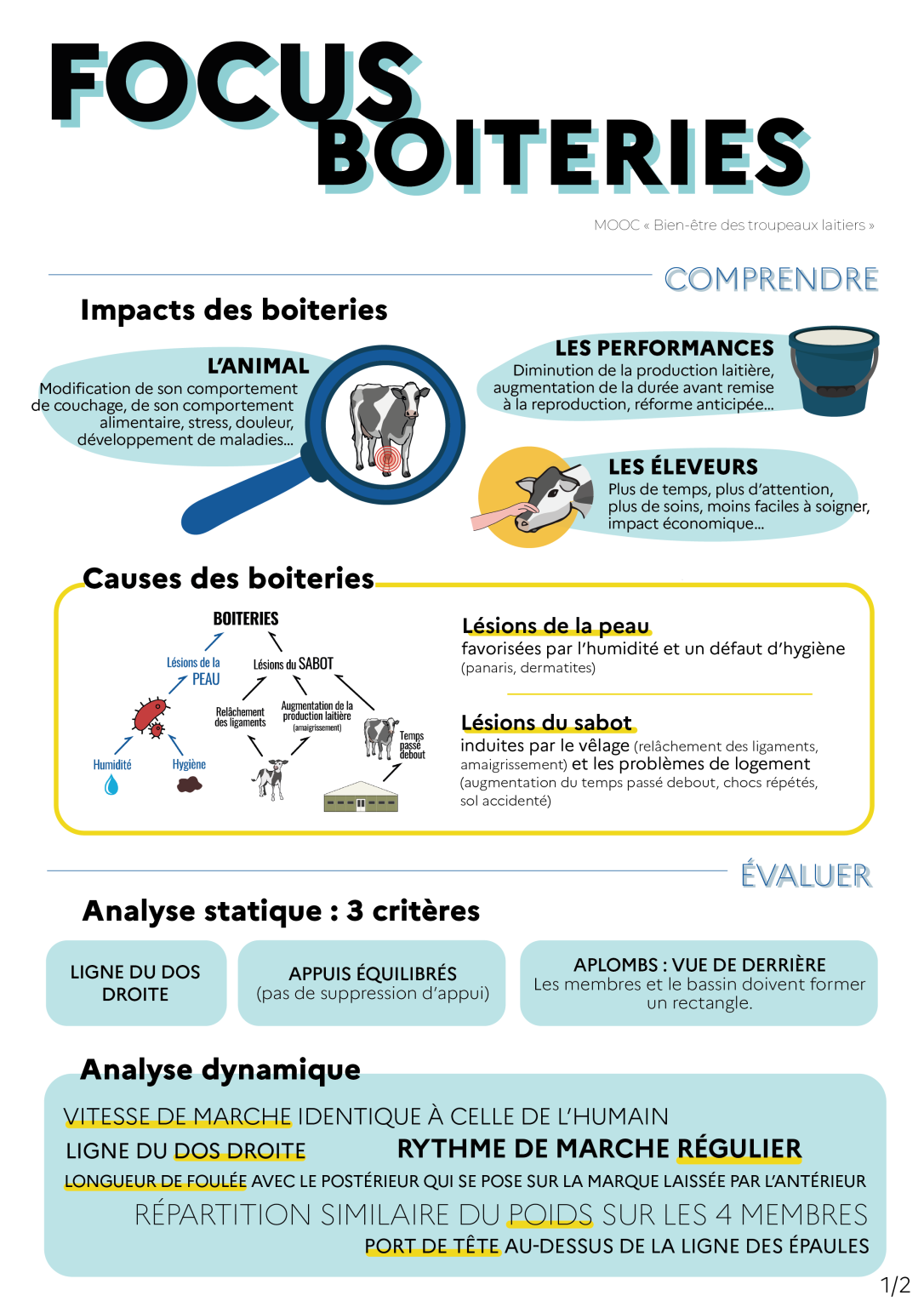 Fiche pédagogique- Focus sur les boiteries en élevage bovins - Chaire ...