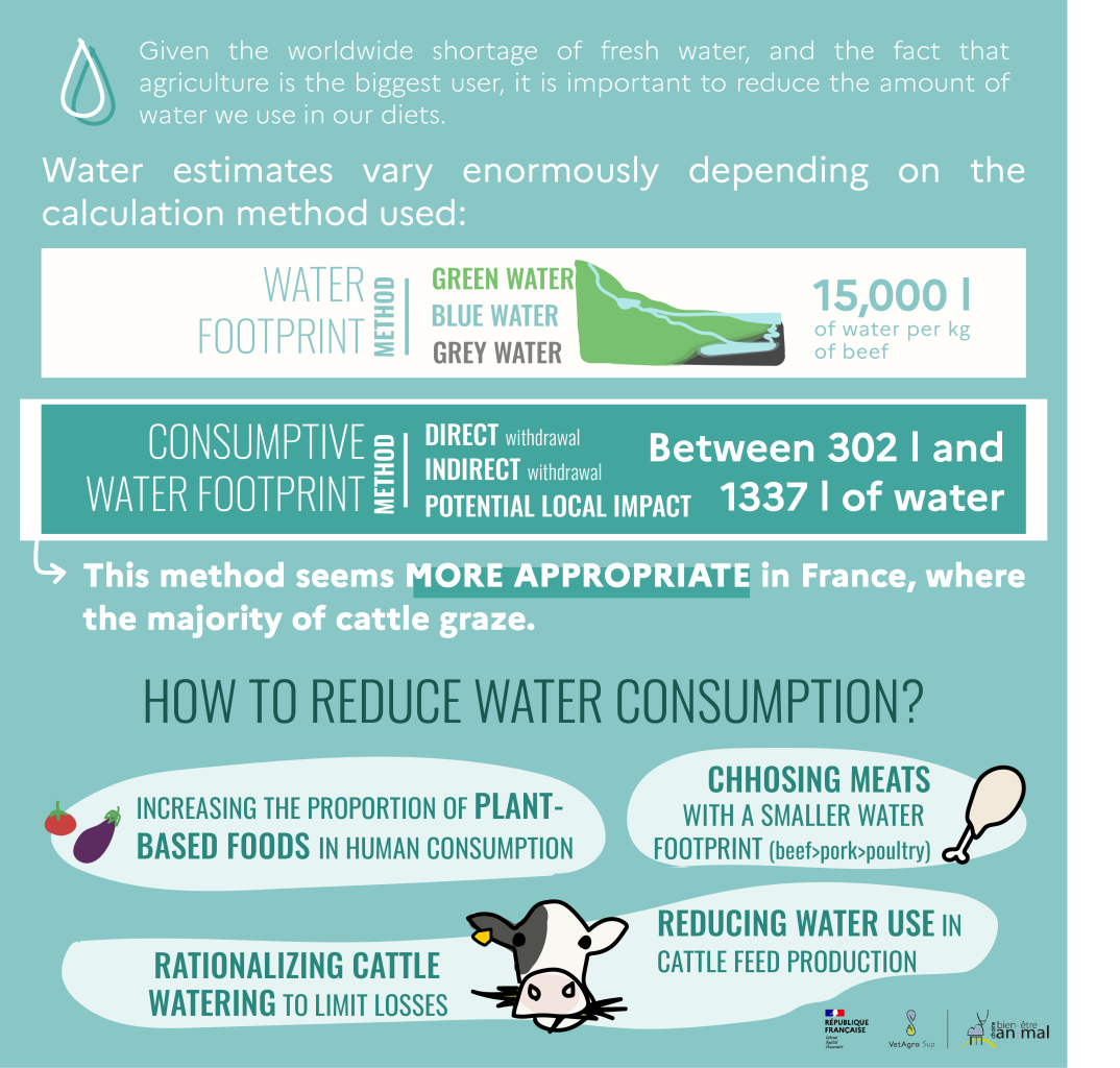 It takes 15000 liters of water to produce 1 kg of beef: TRUE or FALSE ...