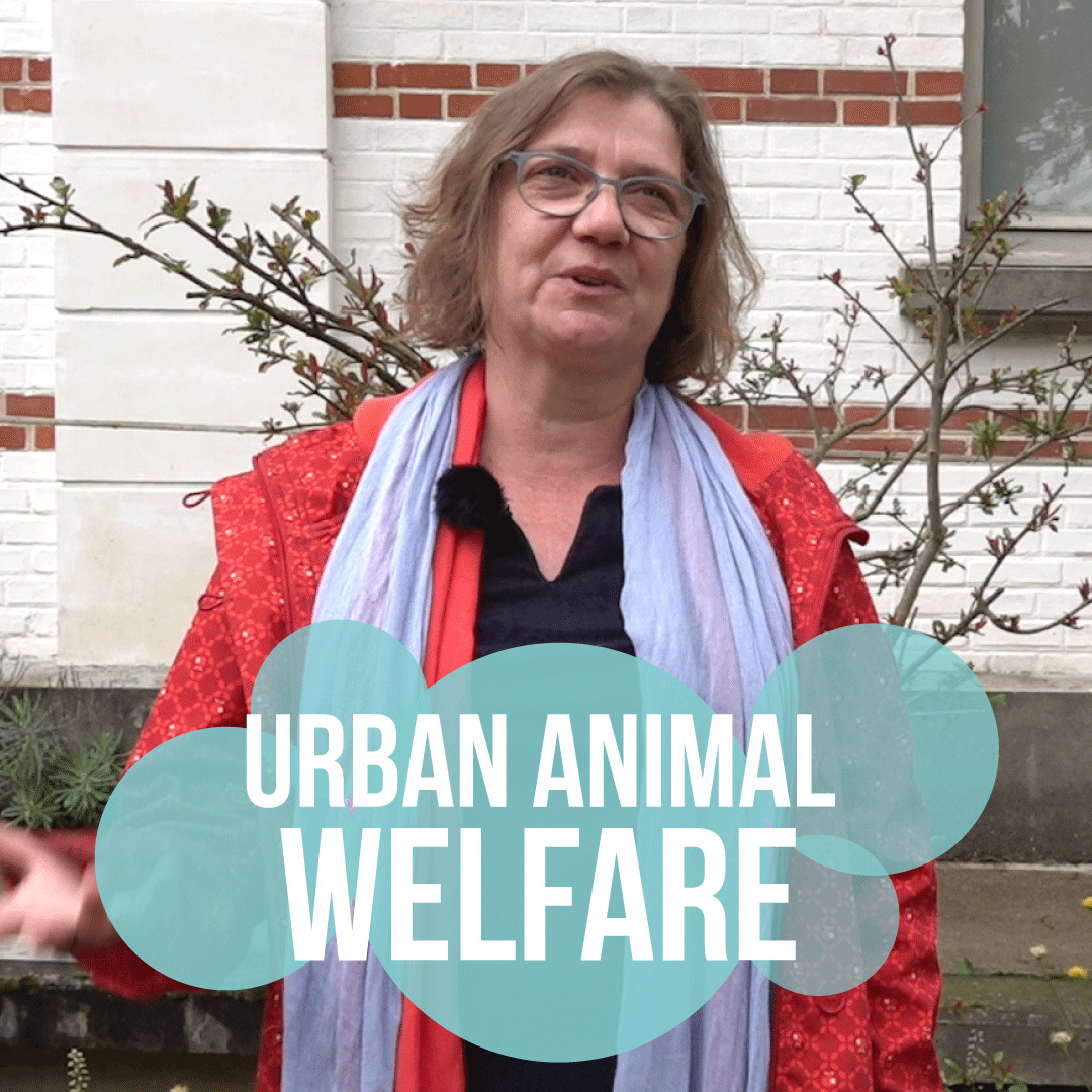Urban animal welfare - Chaire bien-être animal
