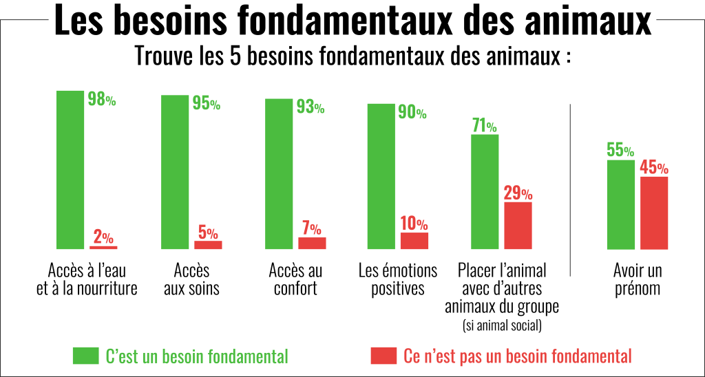 Etude sur les connaissances des CM1-CM2 sur le monde animal – Chaire ...
