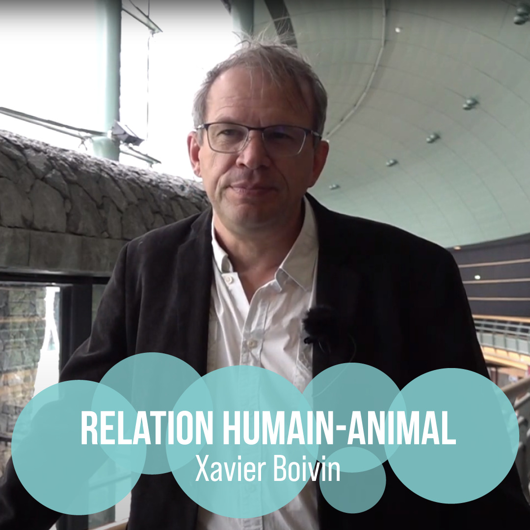 Interview - "Il n'y a pas de bien-être animal sans bien-être humain ...