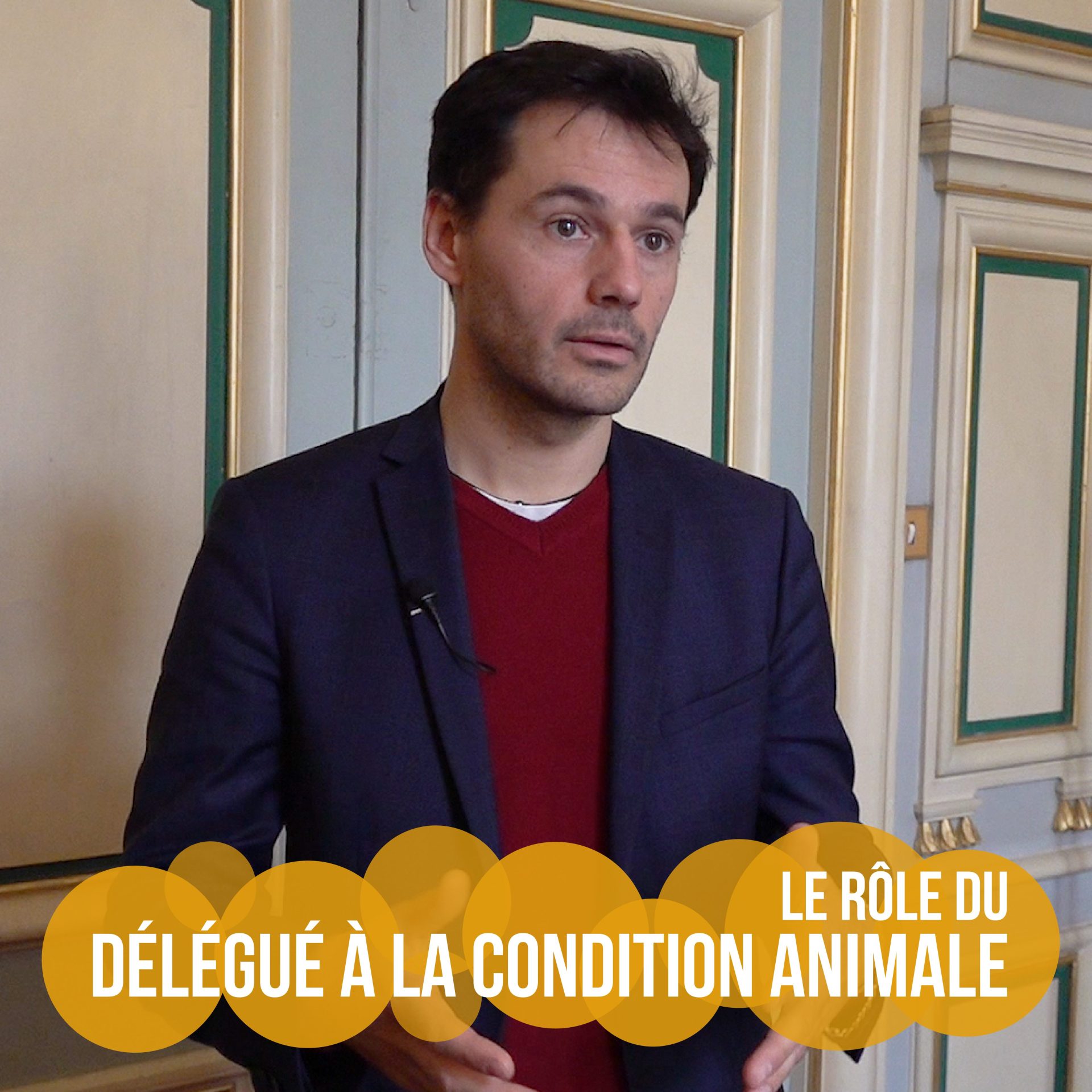 Le rôle du délégué à la condition animale - Chaire bien-être animal