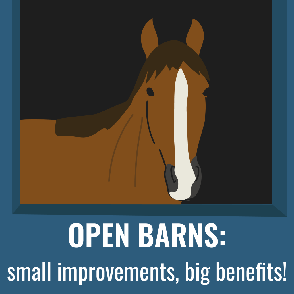 Open barns: small improvements, big benefits! - Chaire bien-être animal