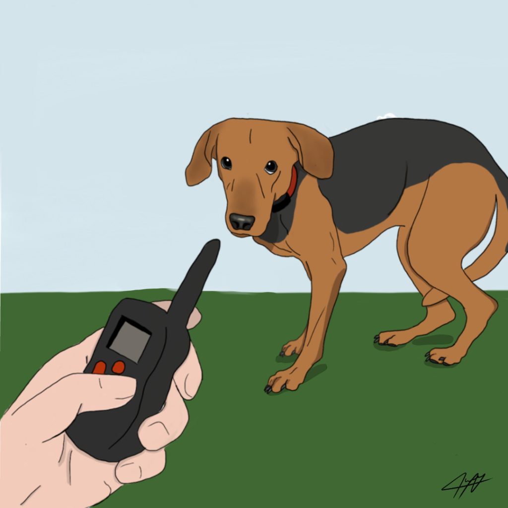 Choke and shock collars are good for dogs and their training, TRUE or ...