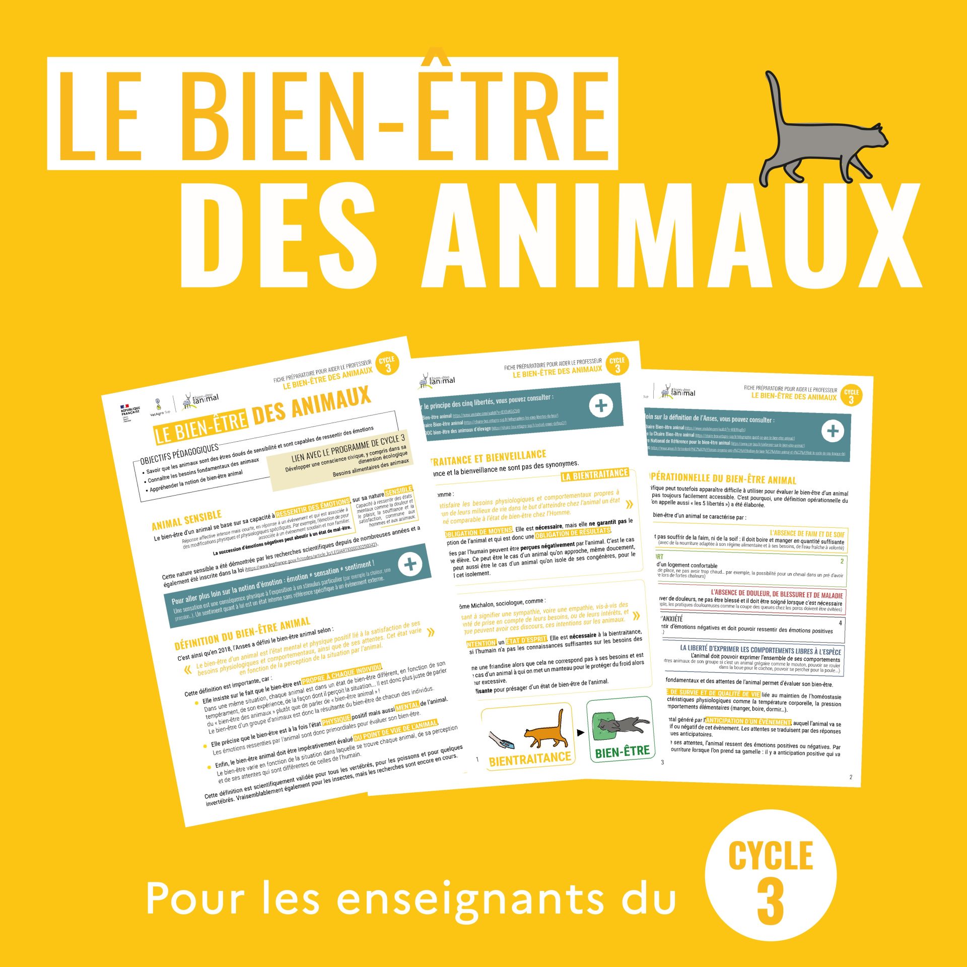 Infographies - Le bien-être animal expliqué aux enfants - Chaire bien ... Infographies - Le bien-être animal expliqué aux enfants - Chaire bien ...