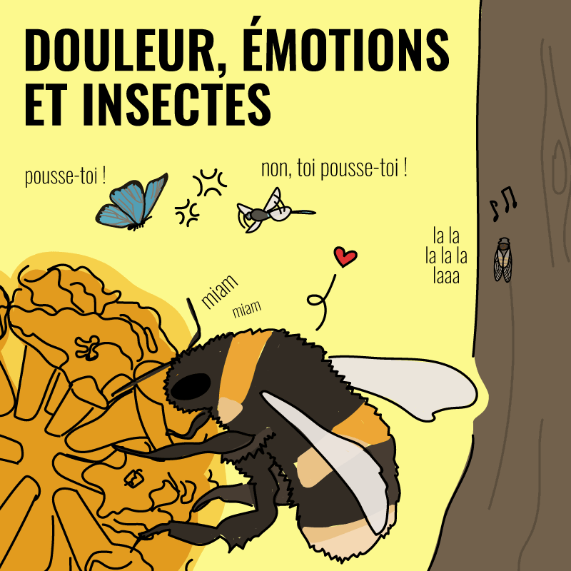 Les insectes sont-ils capables de ressentir de la douleur et des ...