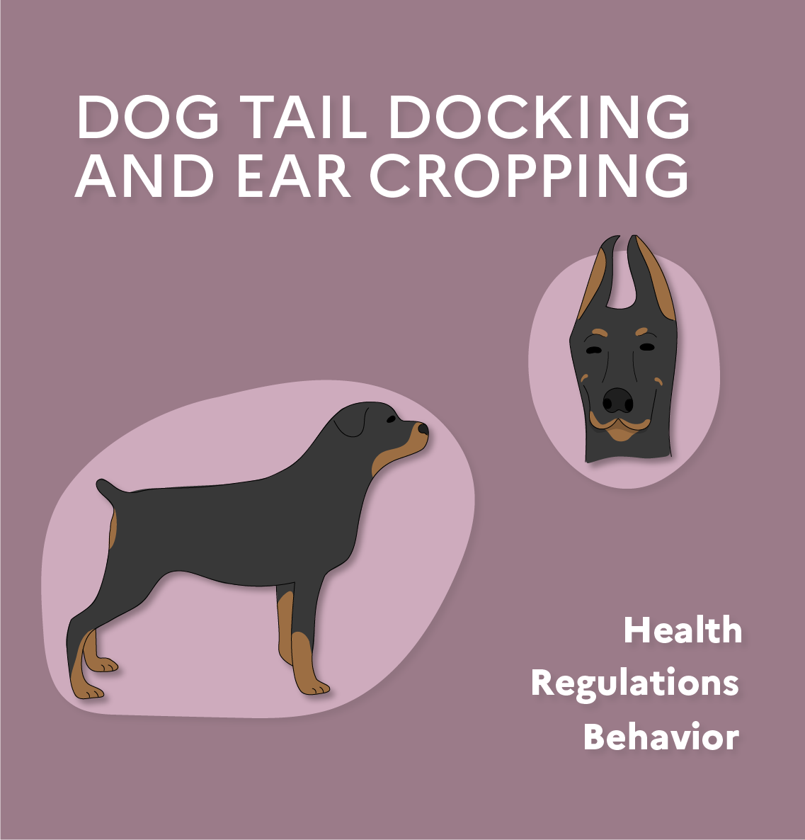 Dog tail docking and ear cropping - Chaire bien-être animal