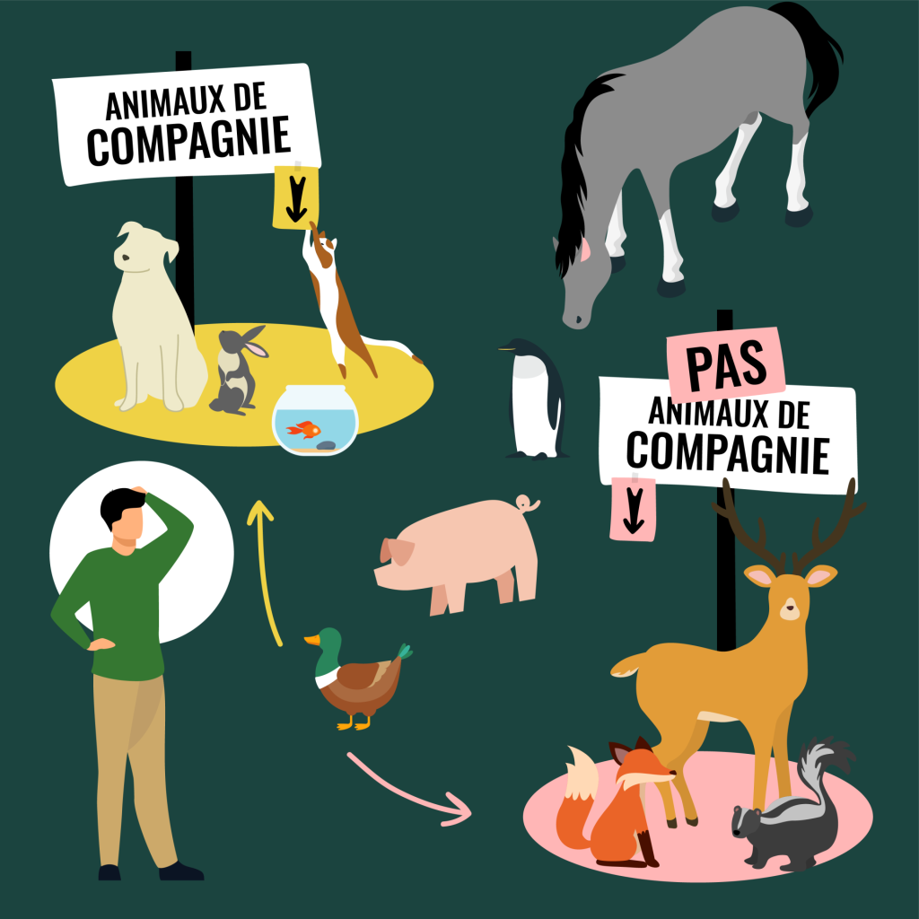 Tous les animaux peuvent-ils être des animaux de compagnie ? - Chaire ...