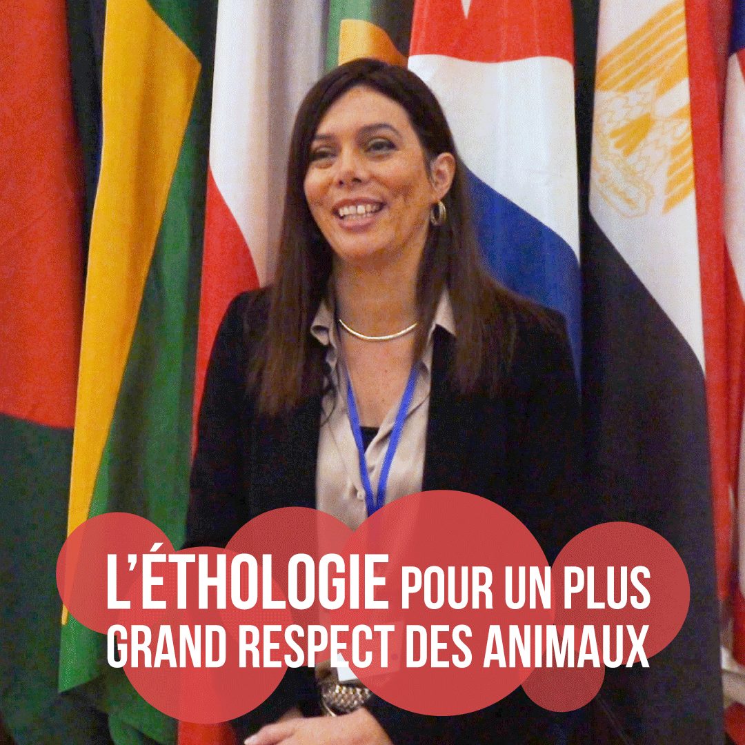 L'éthologie pour un plus grand respect des animaux - Chaire bien-être ...