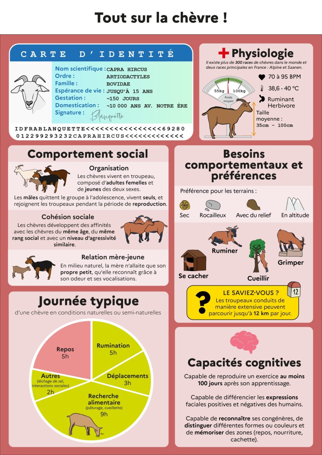 Fiche espèce - Tout savoir sur la chèvre ! - Chaire bien-être animal