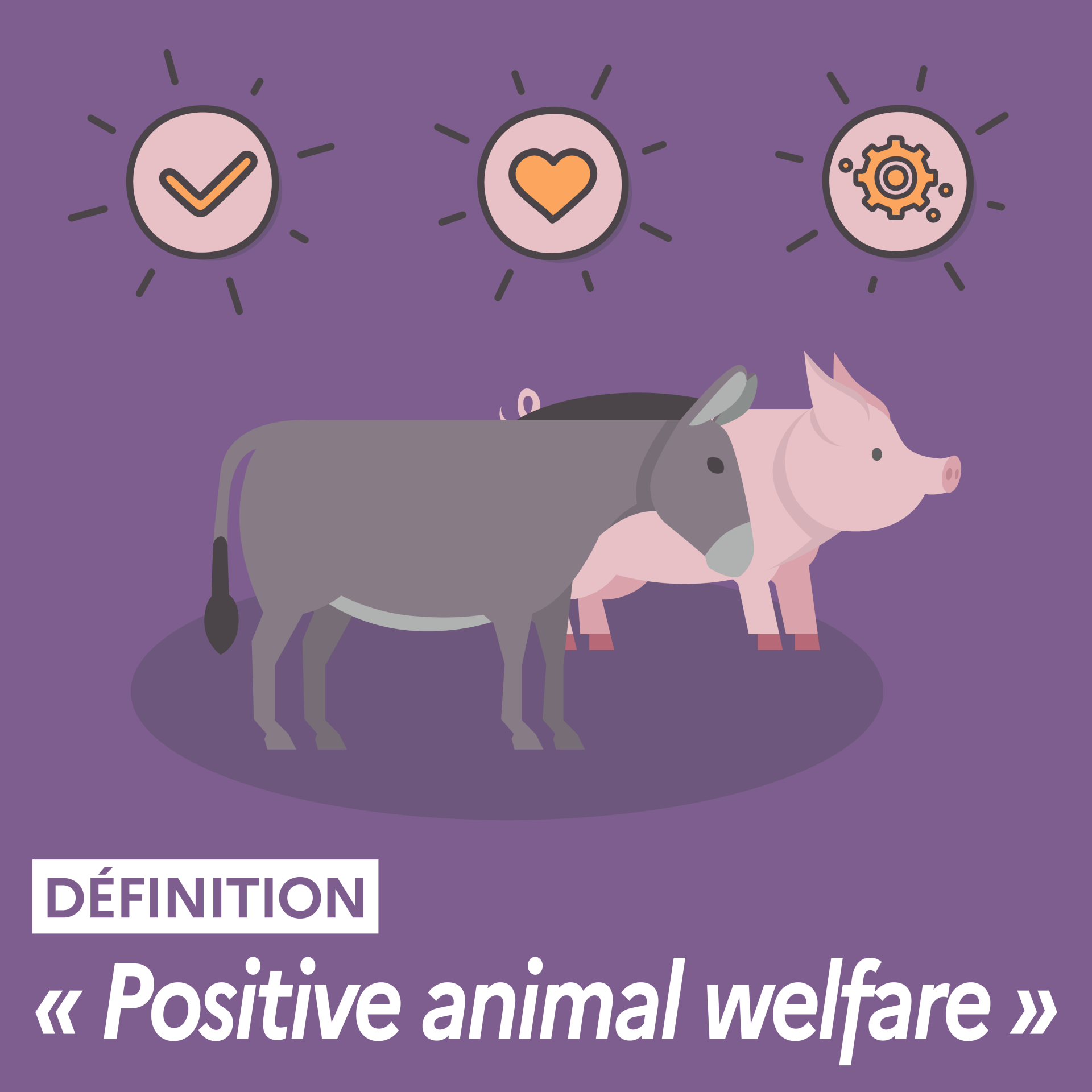 Le « positive animal welfare » : une définition… mais une traduction ...